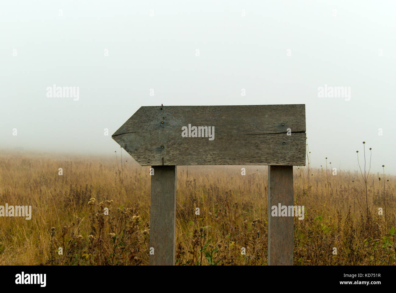 Without indicator hi-res stock photography and images - Alamy