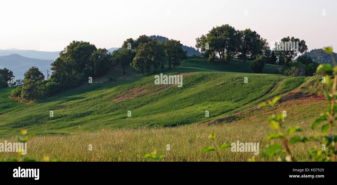 Italian countryside landscape in Tuscany Stock Photo - Alamy