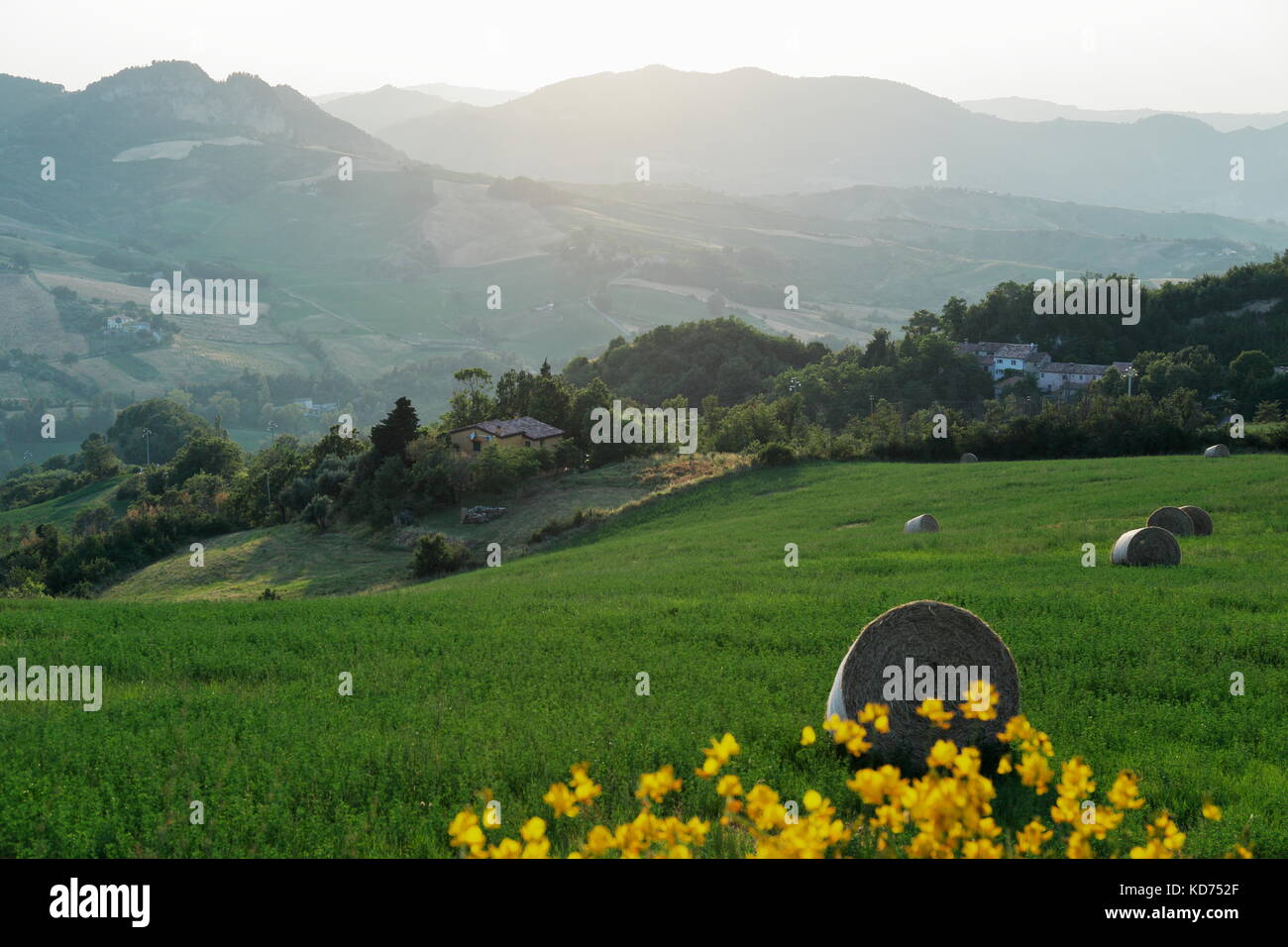 Italian countryside landscape in Tuscany Stock Photo - Alamy