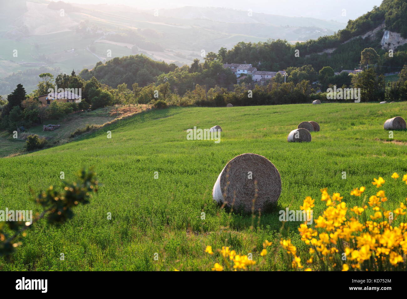 Italian countryside landscape in Tuscany Stock Photo - Alamy