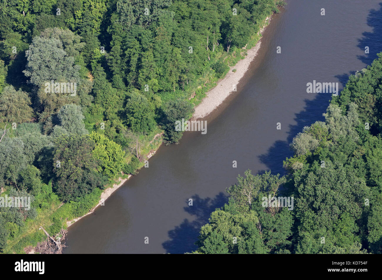 Floodforest hi-res stock photography and images - Alamy