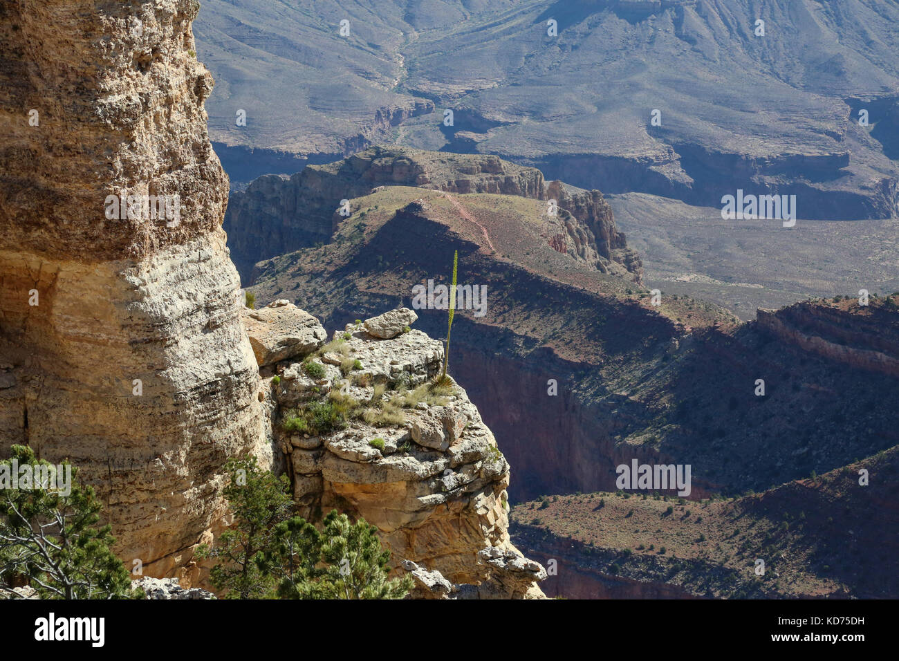 View from south rim of Grand Canyon Stock Photo - Alamy