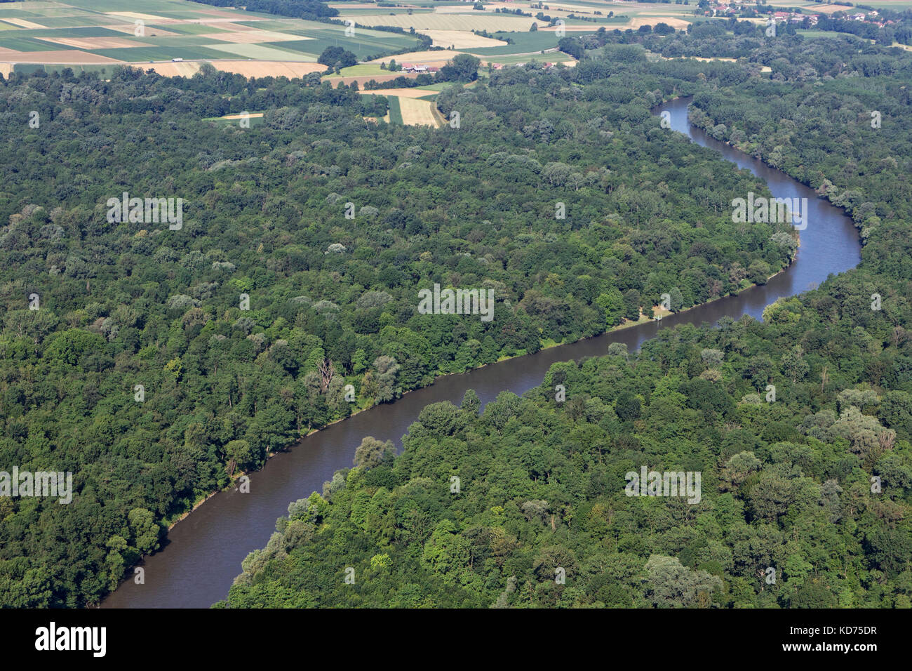 The Mura River in Slovenia in its forested floodplain Stock Photo - Alamy