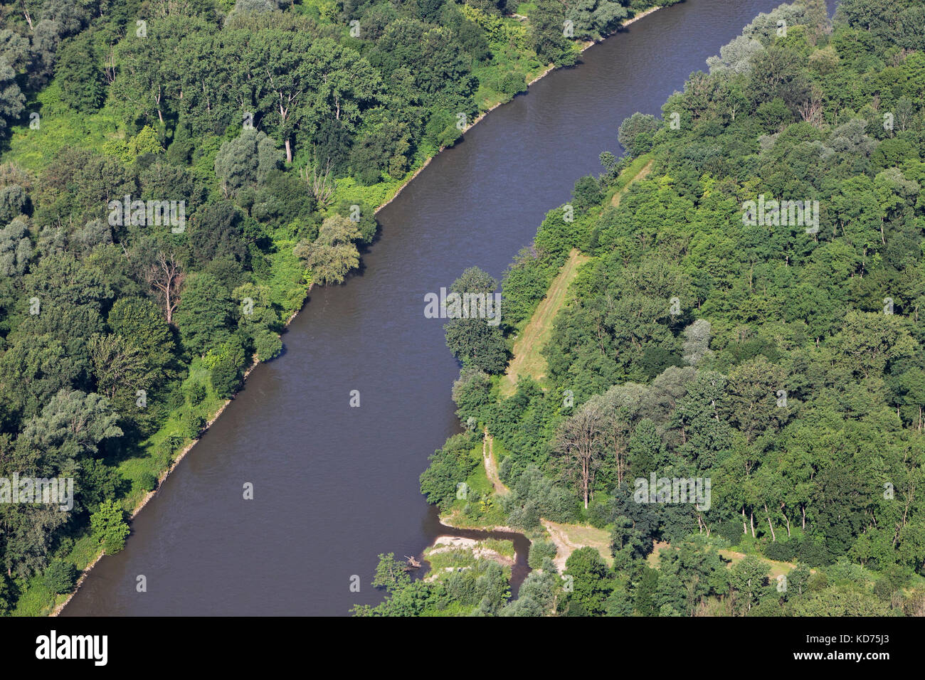 The Mura River in Slovenia in its forested floodplain Stock Photo - Alamy