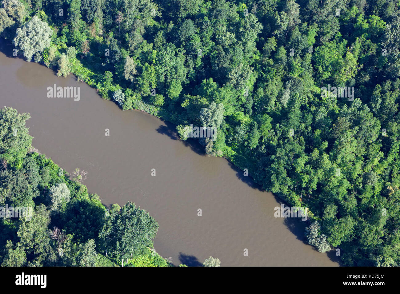 The Mura River in Slovenia in its forested floodplain Stock Photo - Alamy