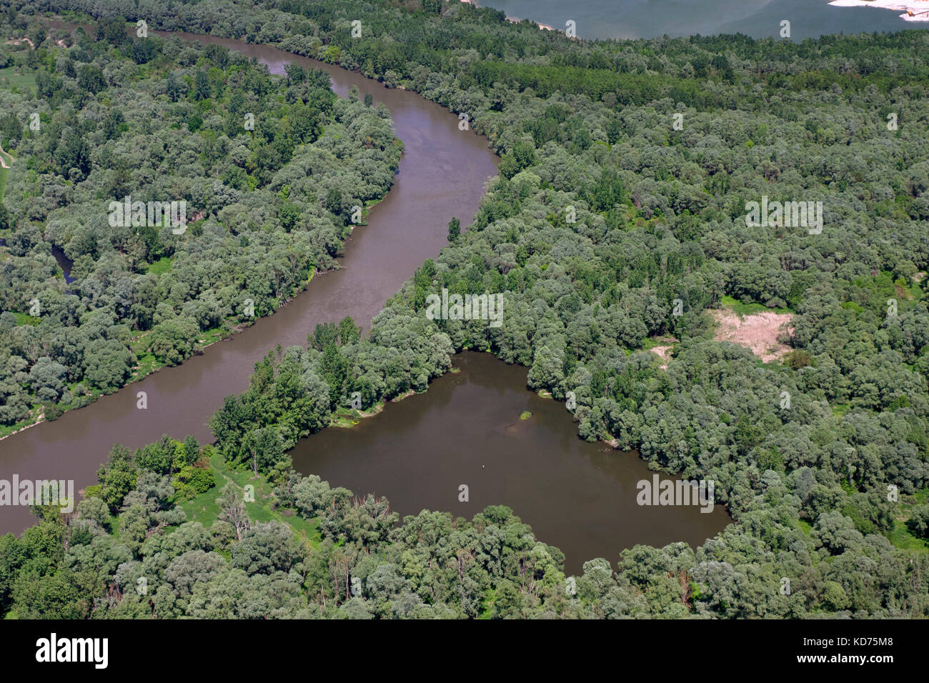 The lower stretch of the Mura River, Croatia Slovenia and Hungary Stock ...