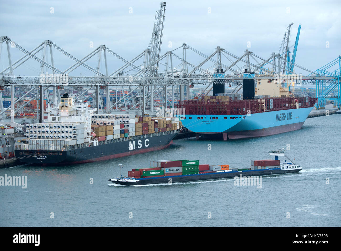 Rotterdam container port with container ships, cargo ships and cranes ...