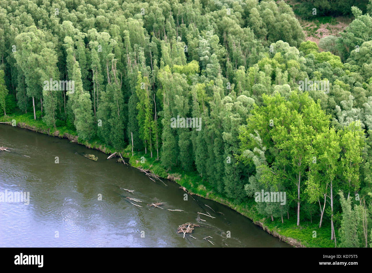 The lower stretch of the Mura River, Croatia Slovenia and Hungary Stock ...