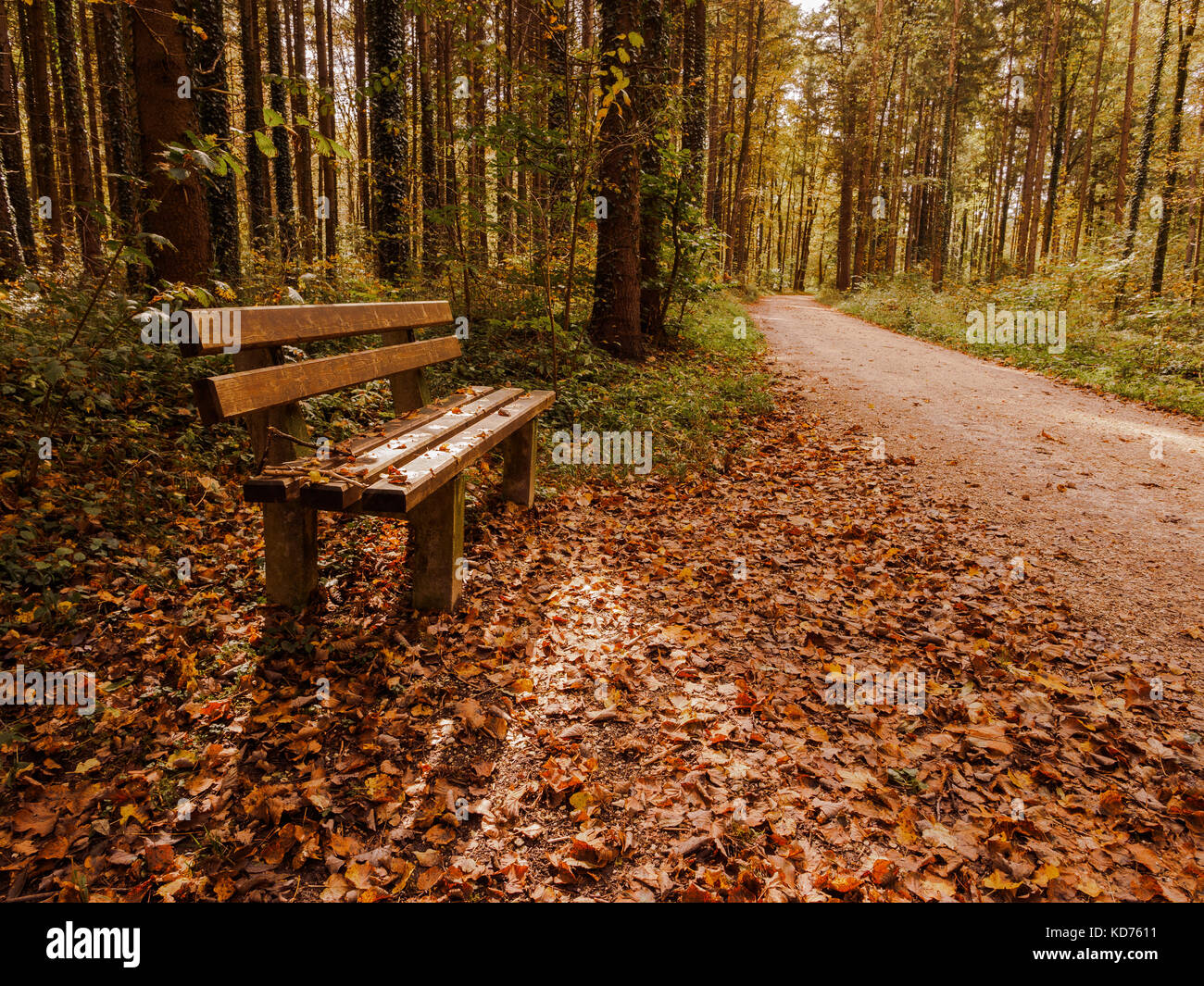 Eine Bank am Wegesrand Stock Photo - Alamy