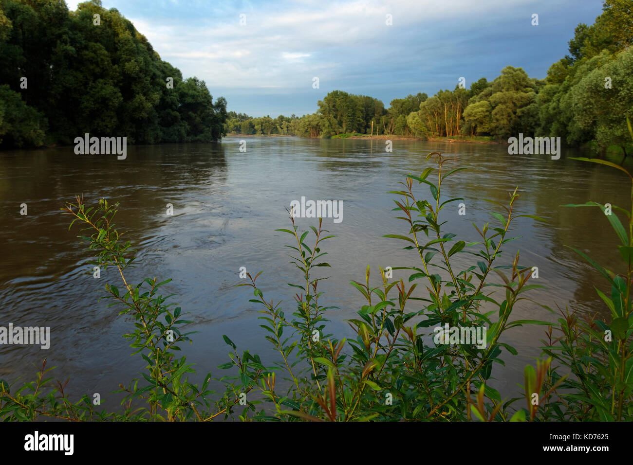 The lower stretch of the Mura River, Croatia Slovenia and Hungary Stock ...