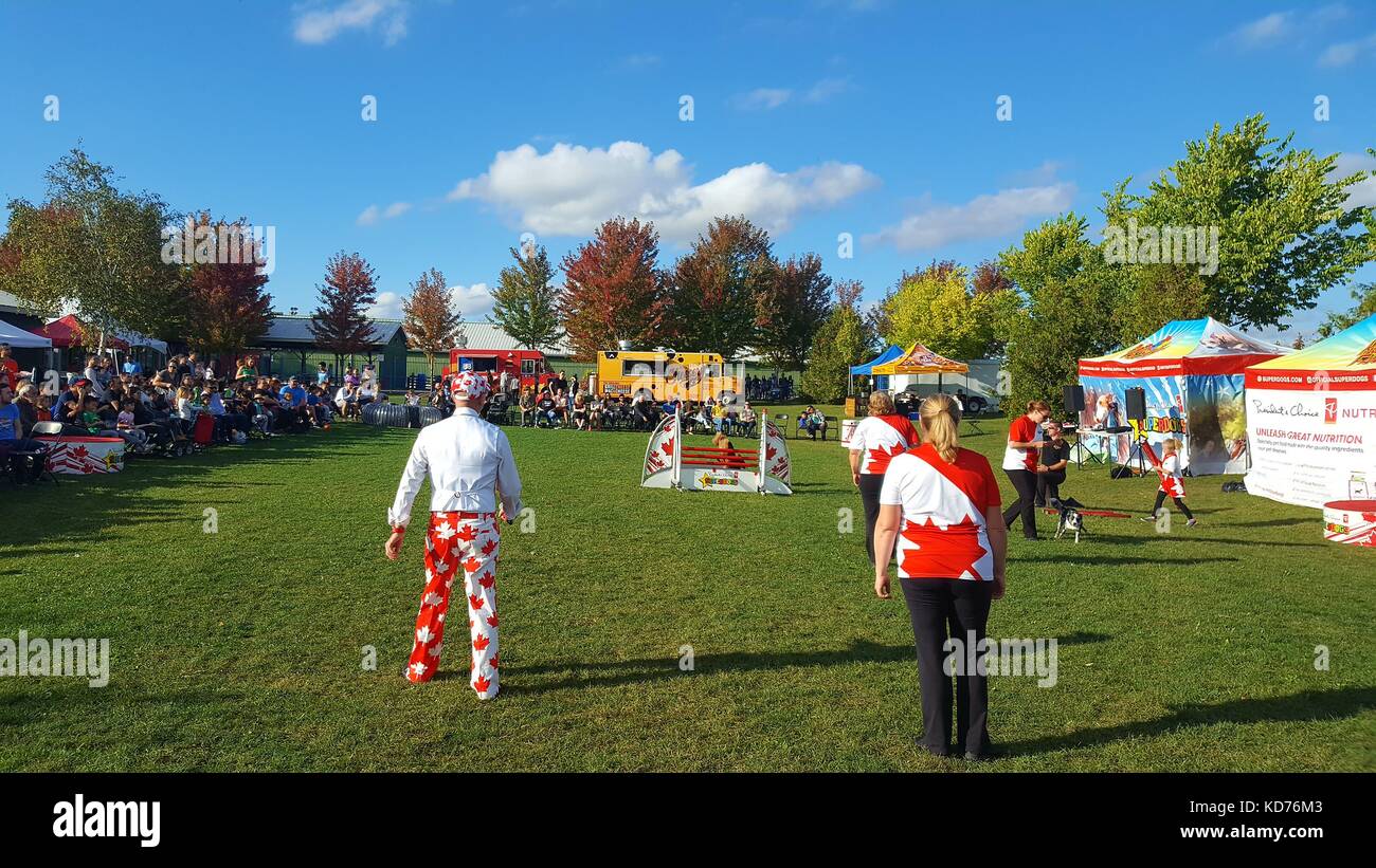 Canine show in Ontario Stock Photo - Alamy
