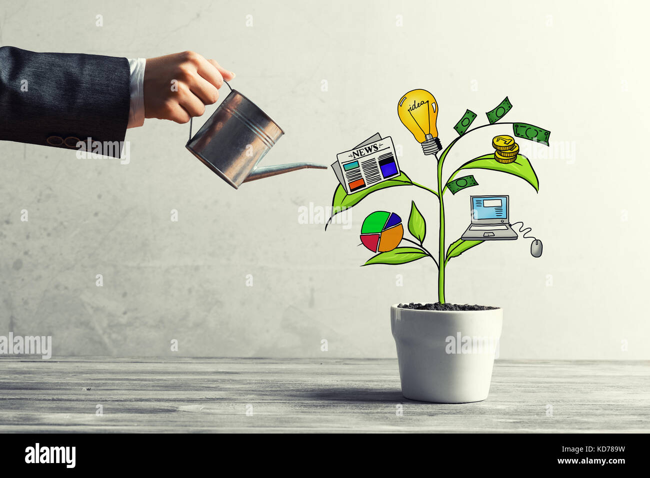 Drawn income tree in white pot for business investment savings and ...