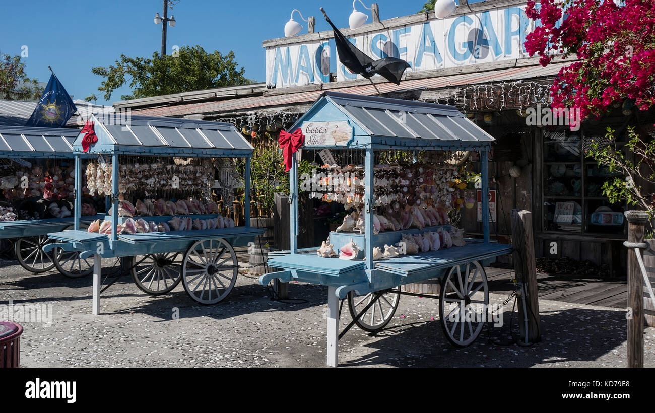 Pastel blue shell carts with conch shells in Key West Florida Stock ...