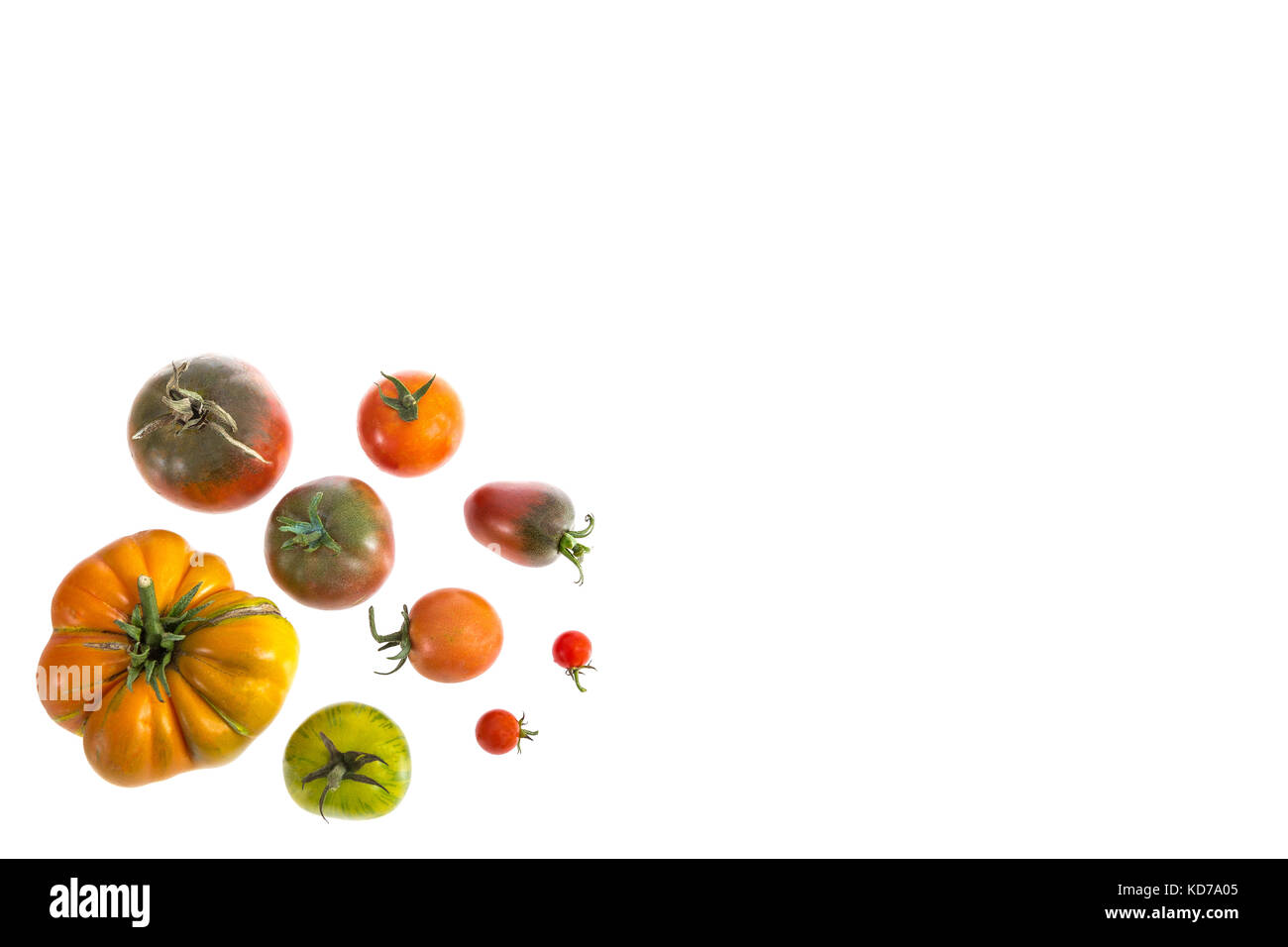 Organically grown ancient variety of tomatoes on white with copy space ...