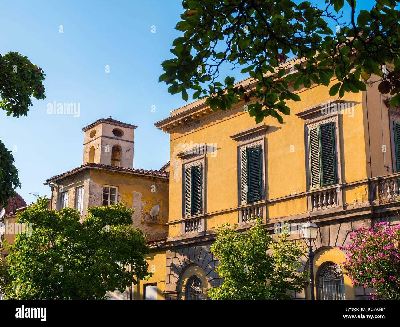 Italian style buildings in the Tuscan city of Lucca Stock Photo - Alamy