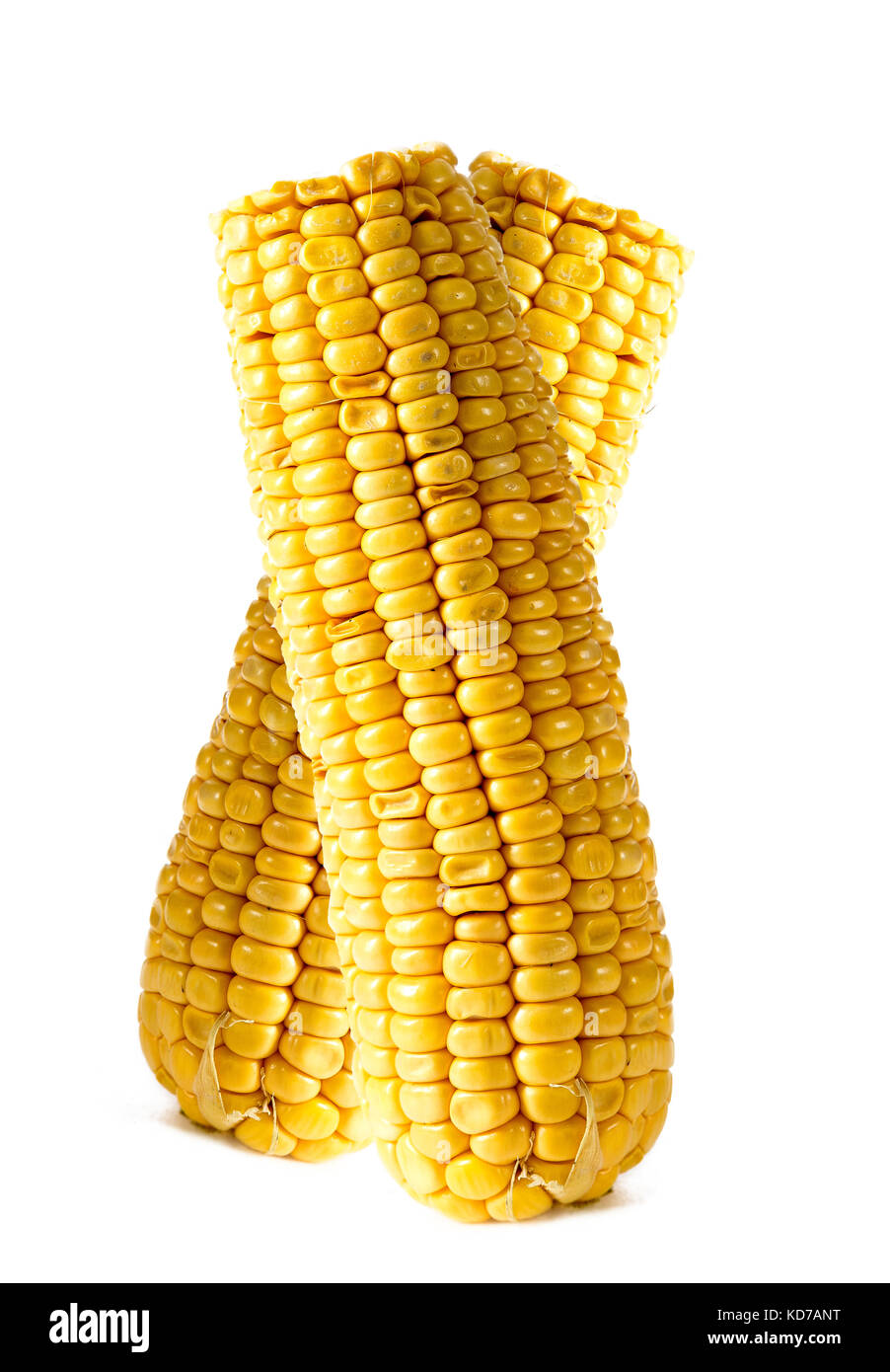 Two crossed Corn isolated on white background Stock Photo - Alamy