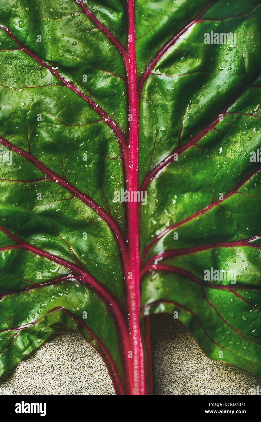 Flat-lay of fresh green leaves of swiss chard. Vegetarian food Stock ...