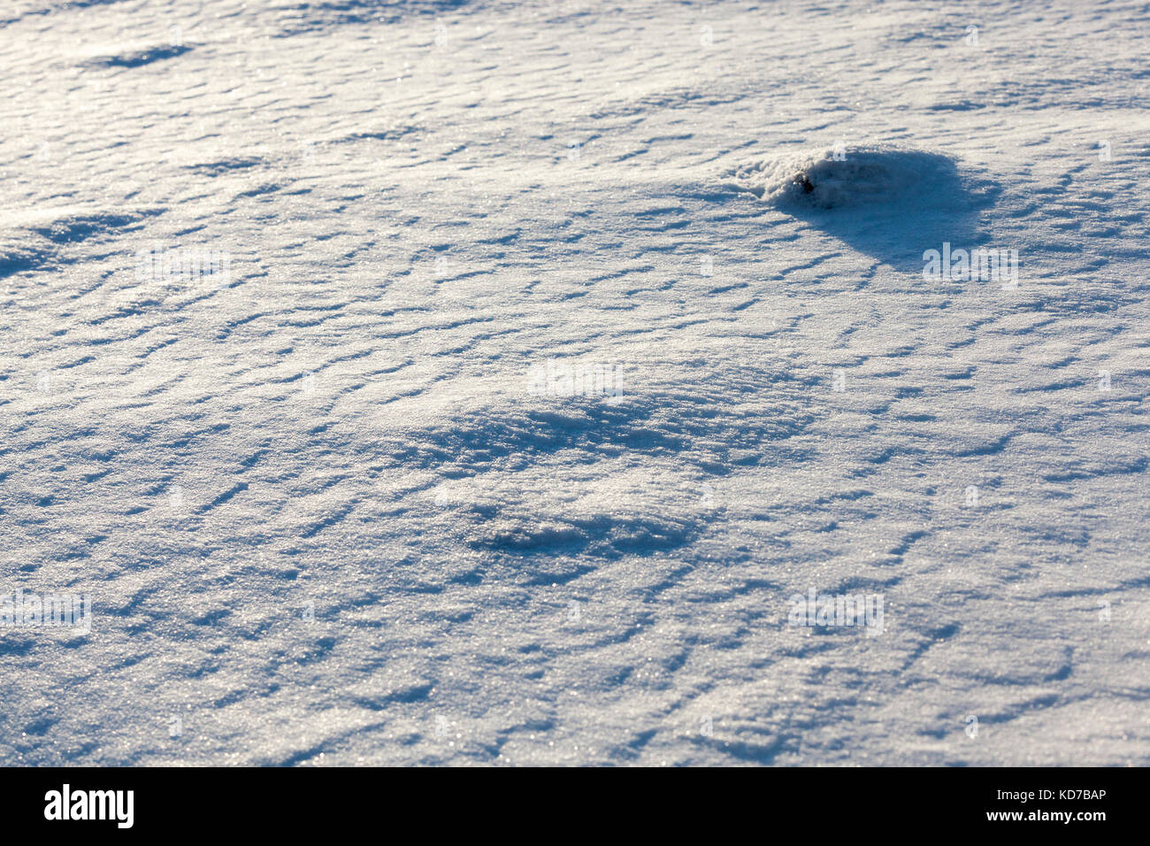 Snow drifts in winter Stock Photo - Alamy