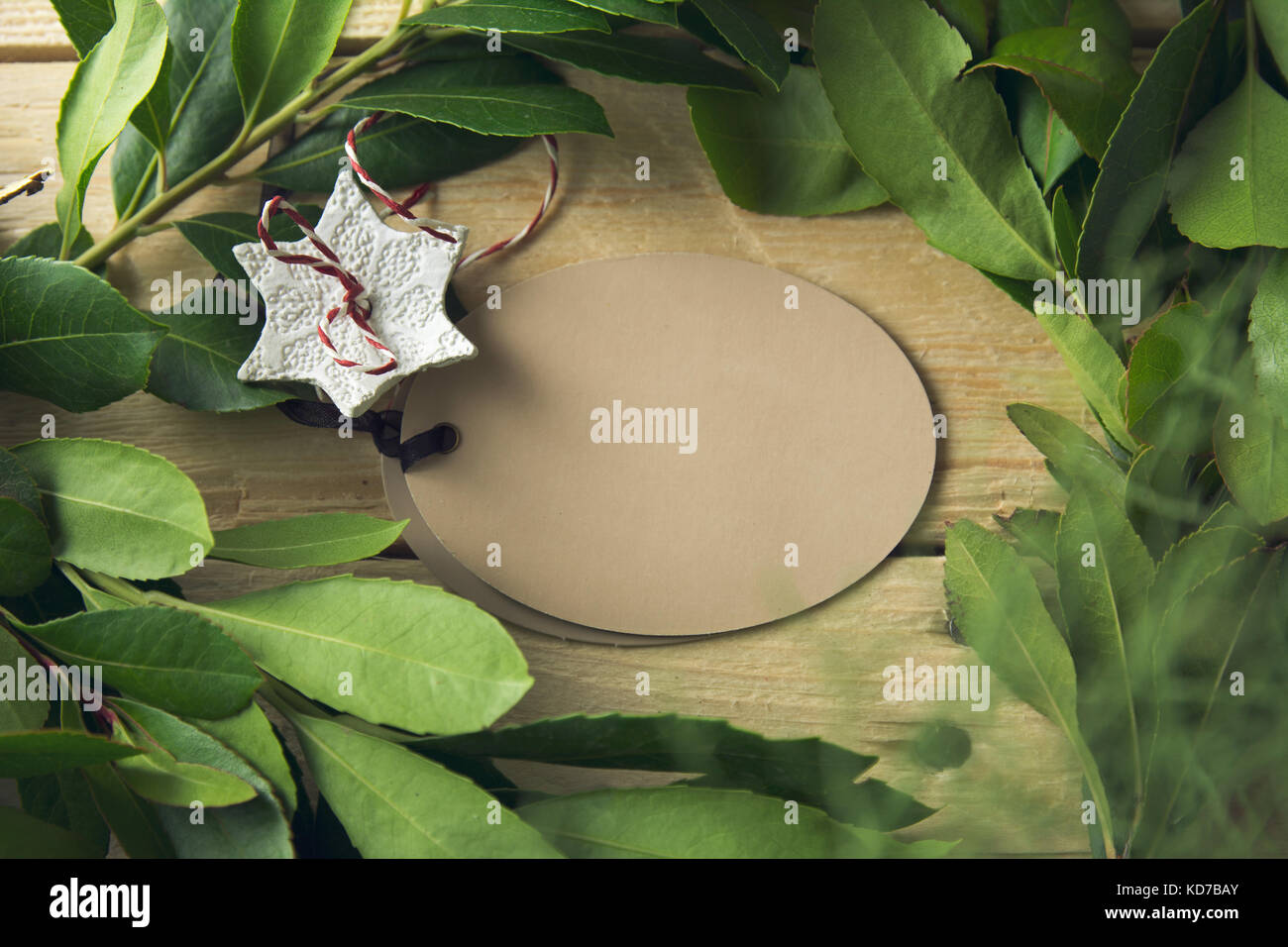 label oval frame branches and white star on wooden background Stock ...