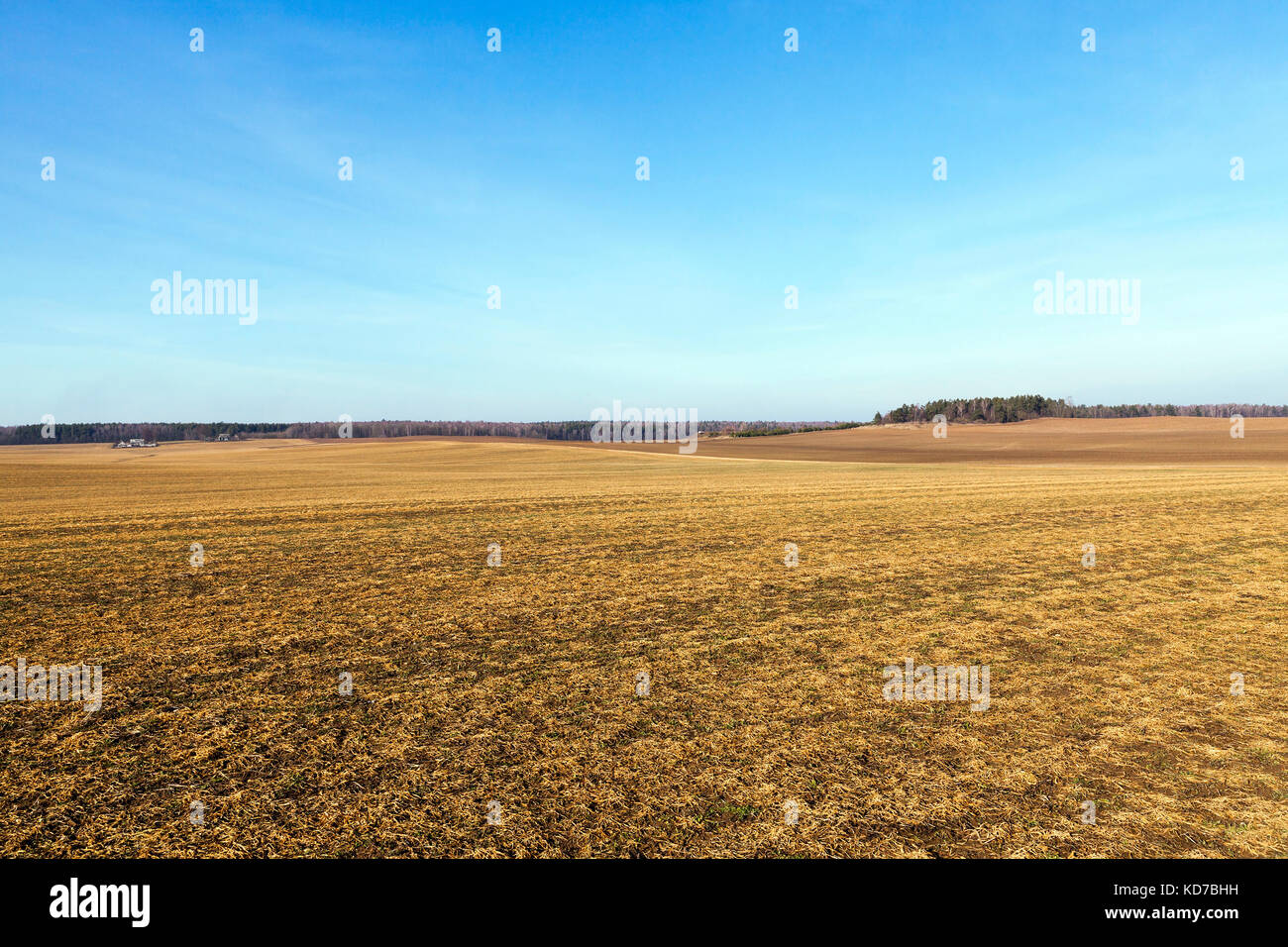 After the fall, the sky Stock Photo - Alamy