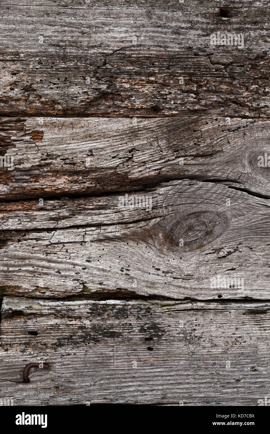 Old tree background Stock Photo - Alamy