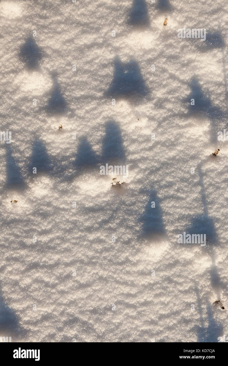 Field in the snow Stock Photo - Alamy