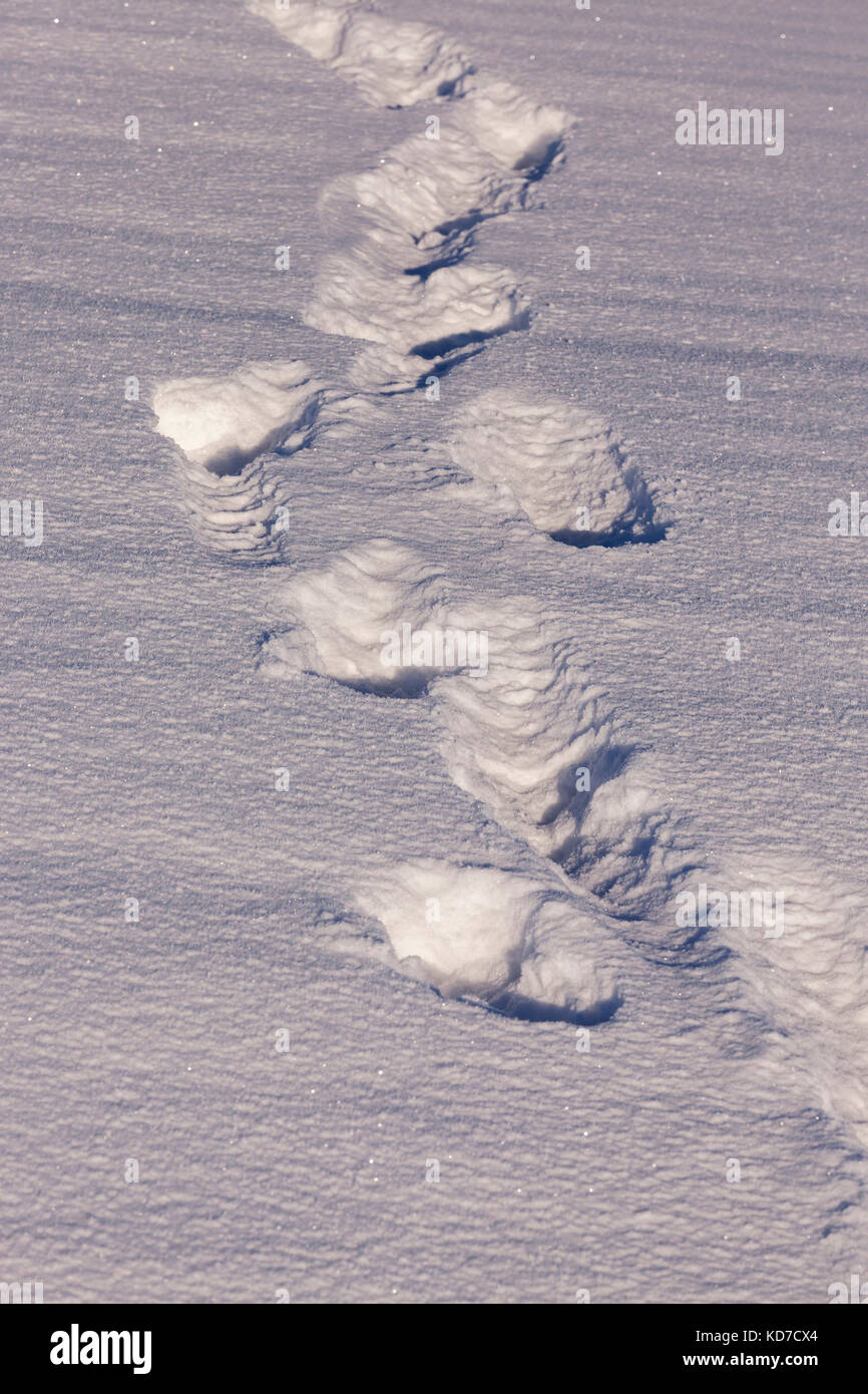 Deep footprint hi-res stock photography and images - Alamy