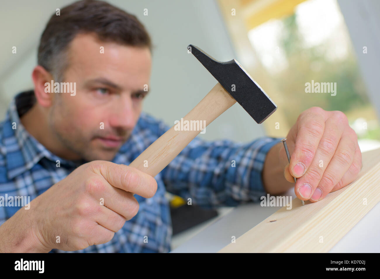 man using a hammer to nail together wood Stock Photo - Alamy
