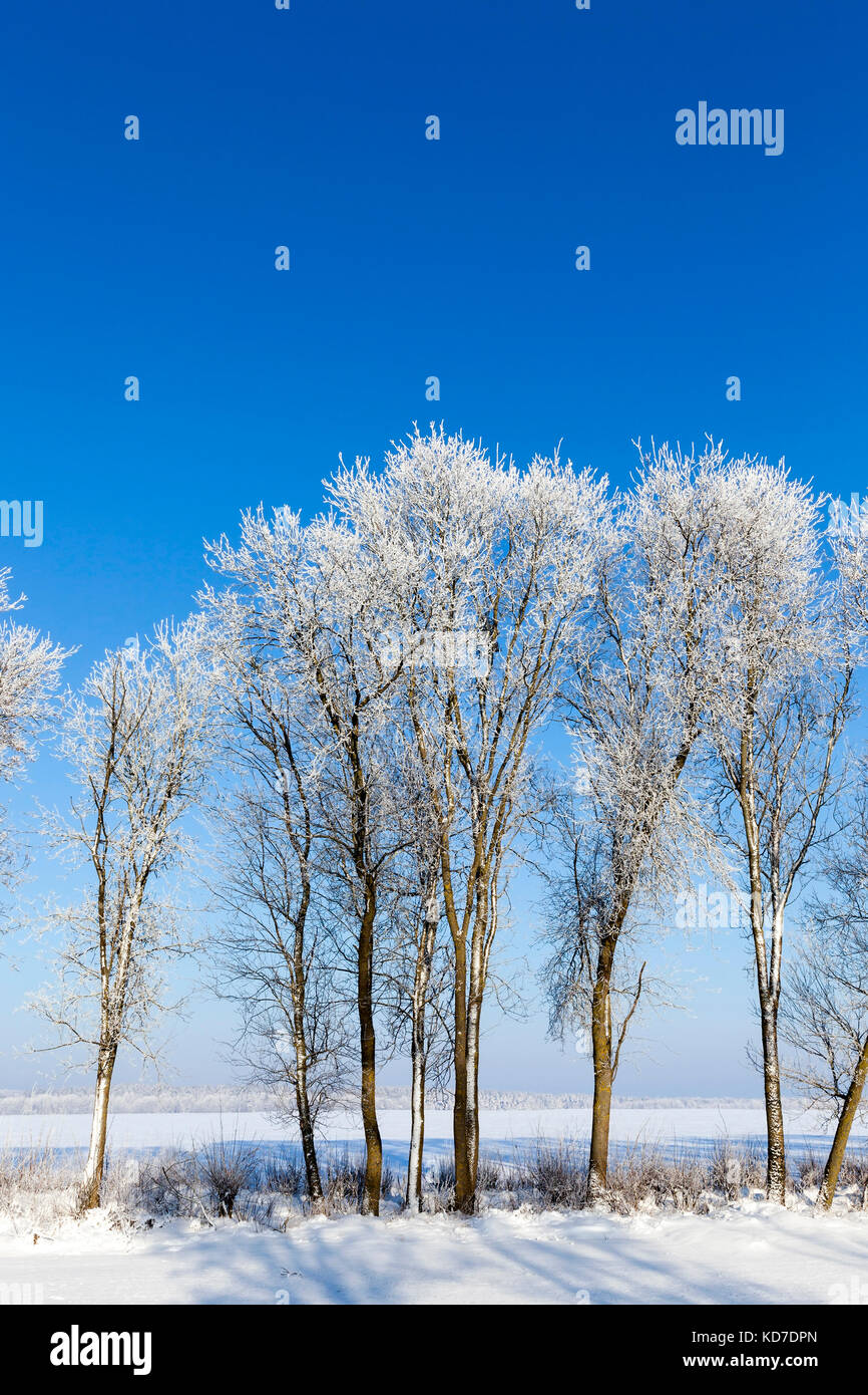 Snow drifts in winter Stock Photo - Alamy