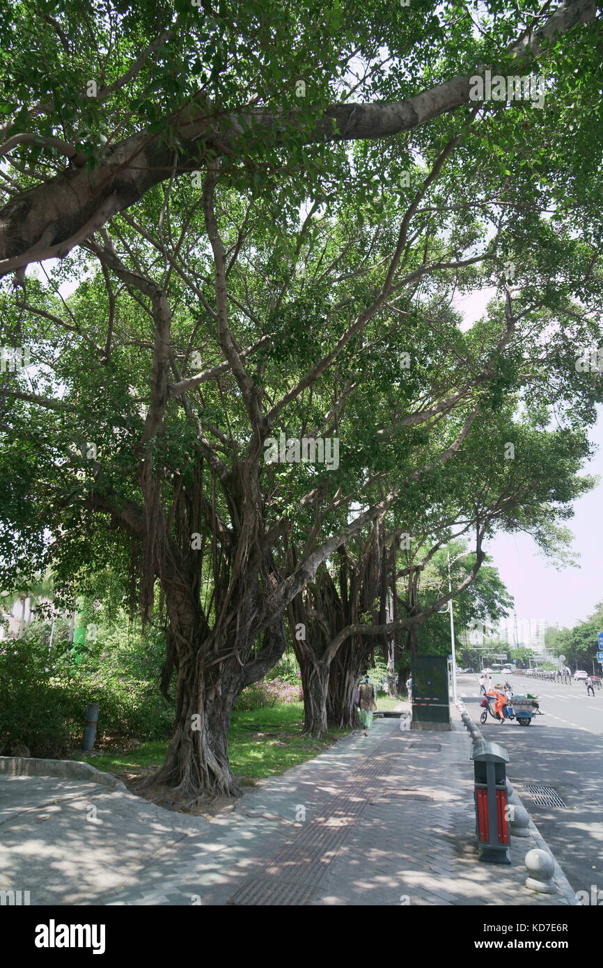 Recreation Airy High Resolution Stock Photography and Images - Alamy