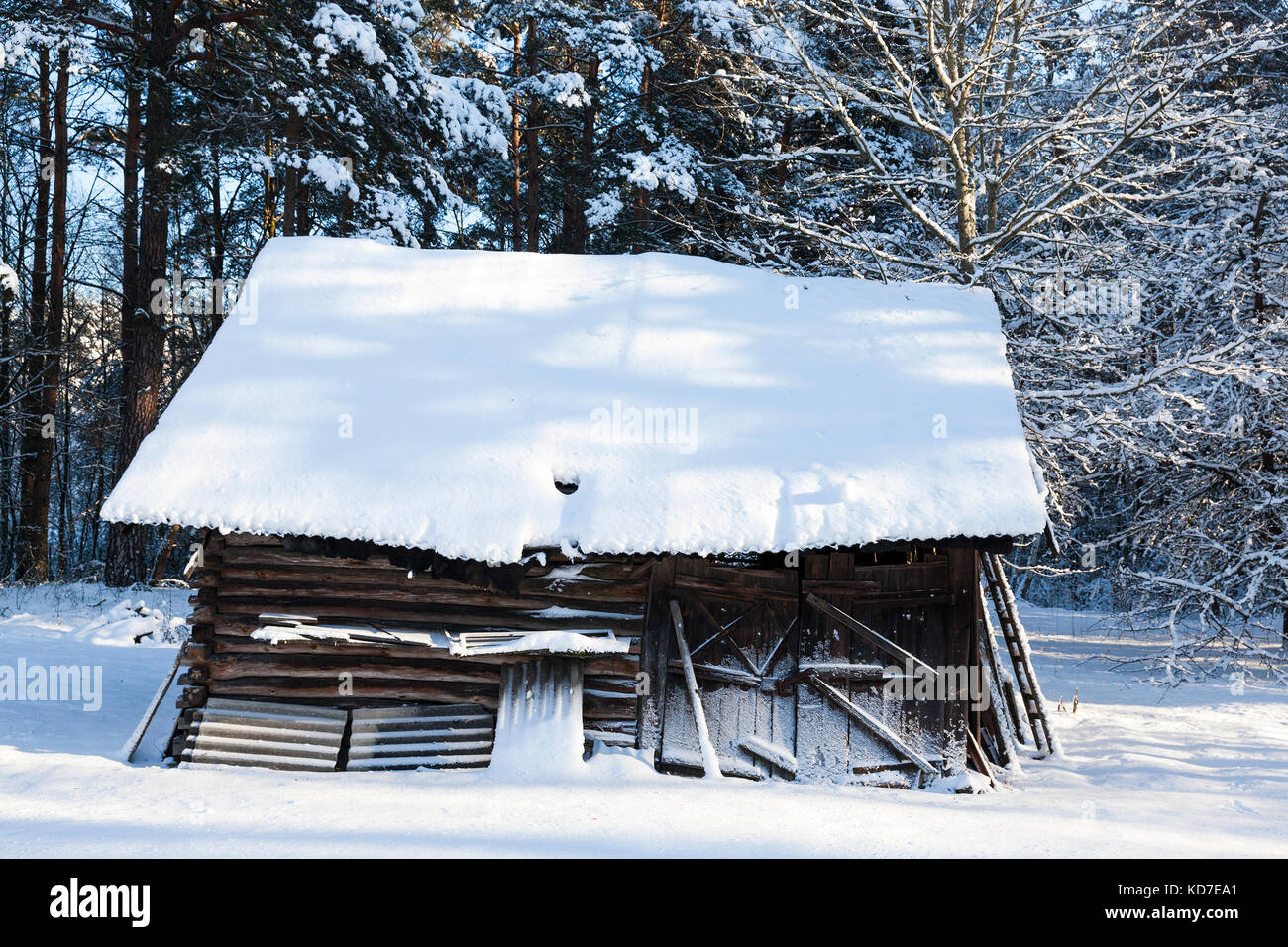 old wooden shed Stock Photo - Alamy