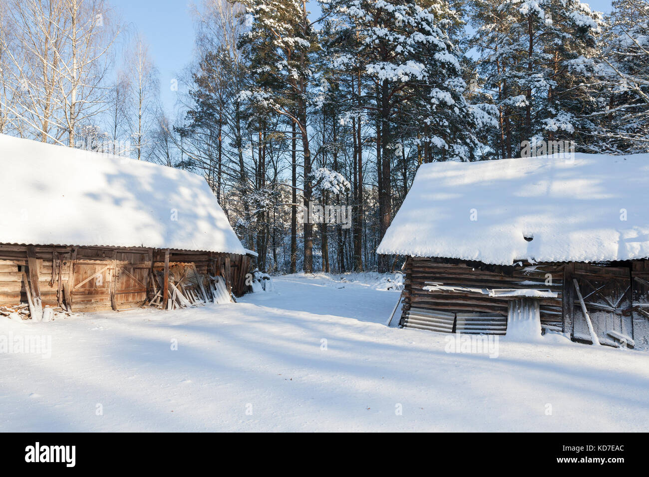Wooden buildings in the forest Stock Photo - Alamy