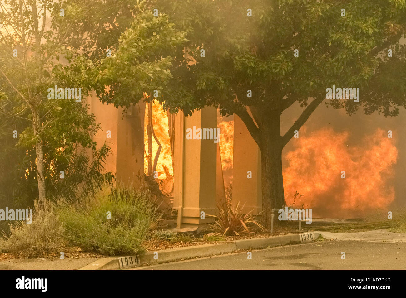 Wildfire devistation hi-res stock photography and images - Alamy