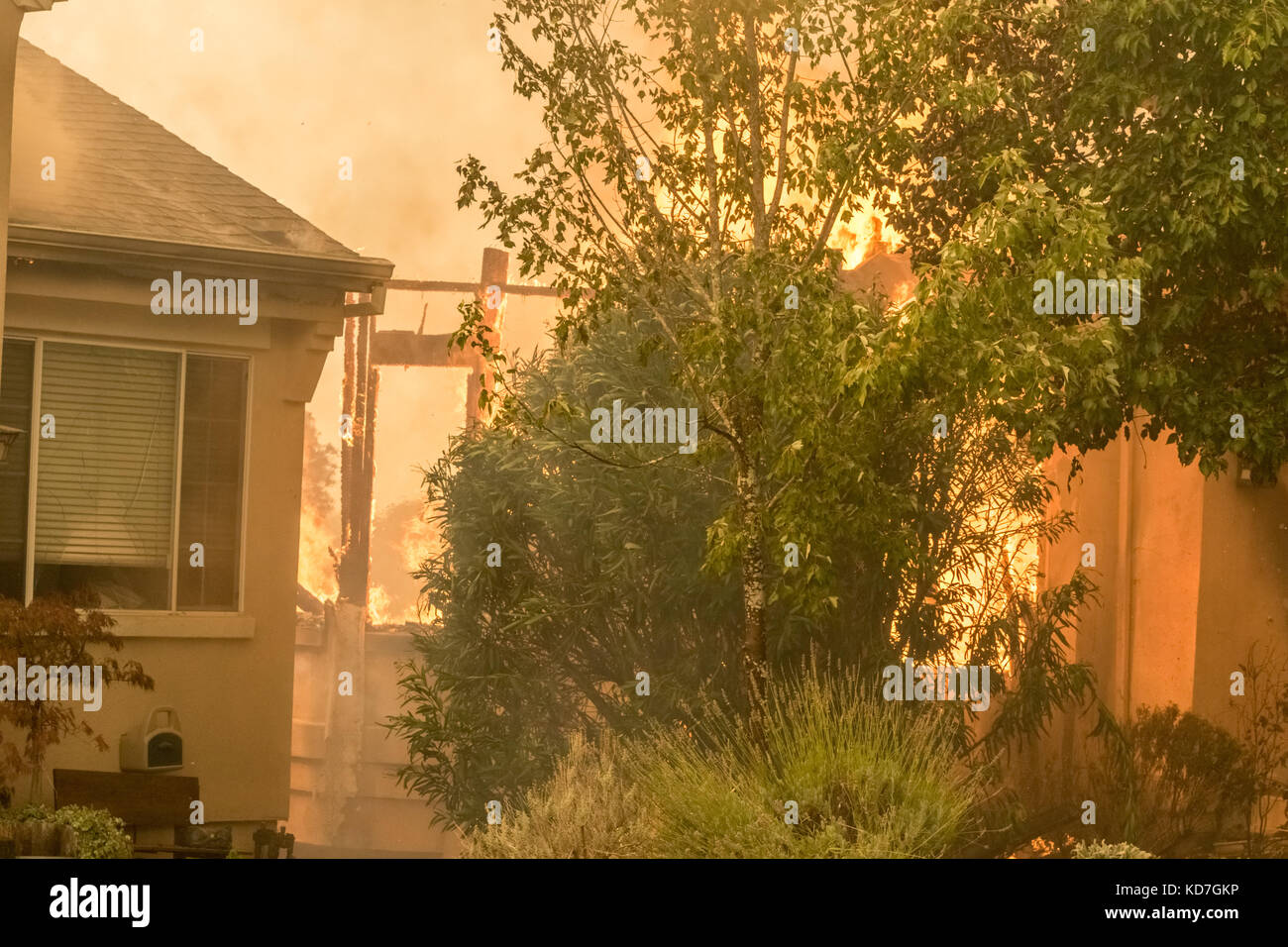 Wildfire devistation hi-res stock photography and images - Alamy