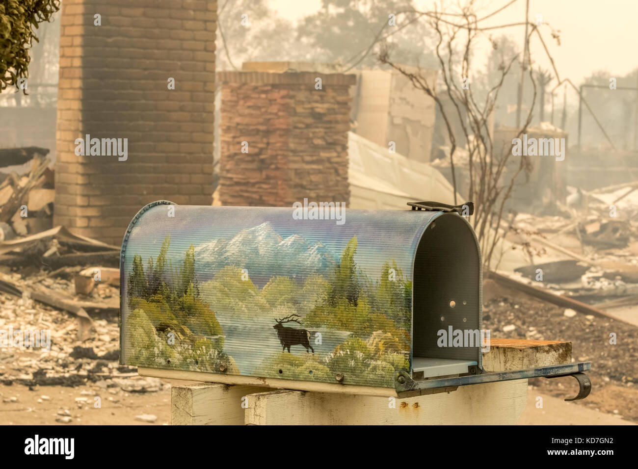 Wildfire devistation hi-res stock photography and images - Alamy