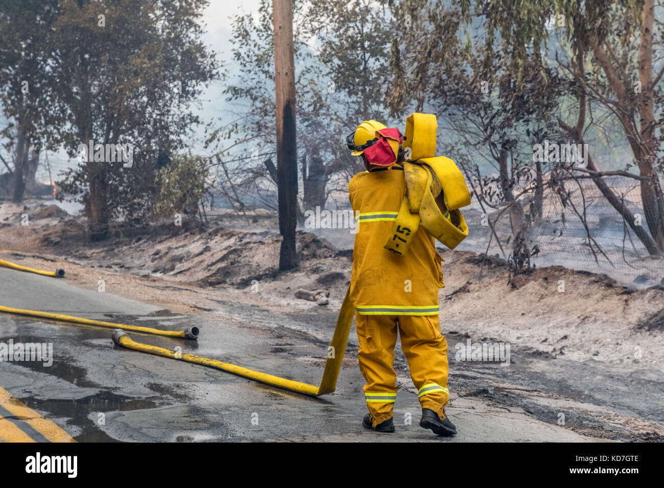 Wildfire devistation hi-res stock photography and images - Alamy