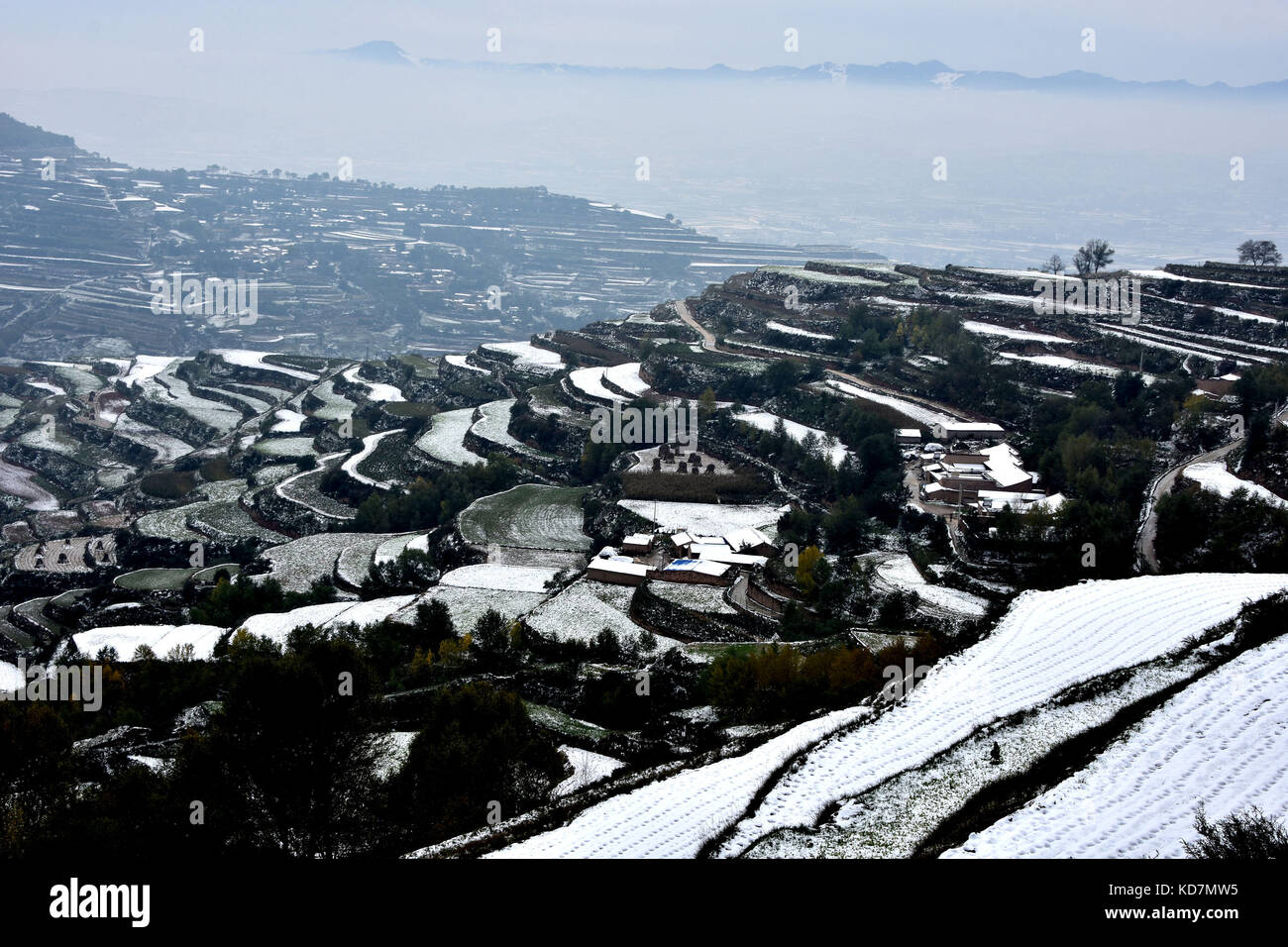 Dingxi, China. 9th Oct, 2017. The rice terraced fields are covered with ...