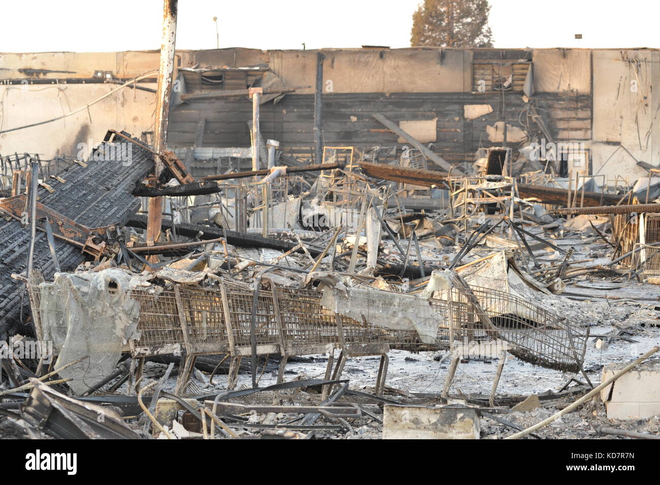 Santa Rosa, California, USA. 10th Oct, 2017. Burned shopping carts at ...