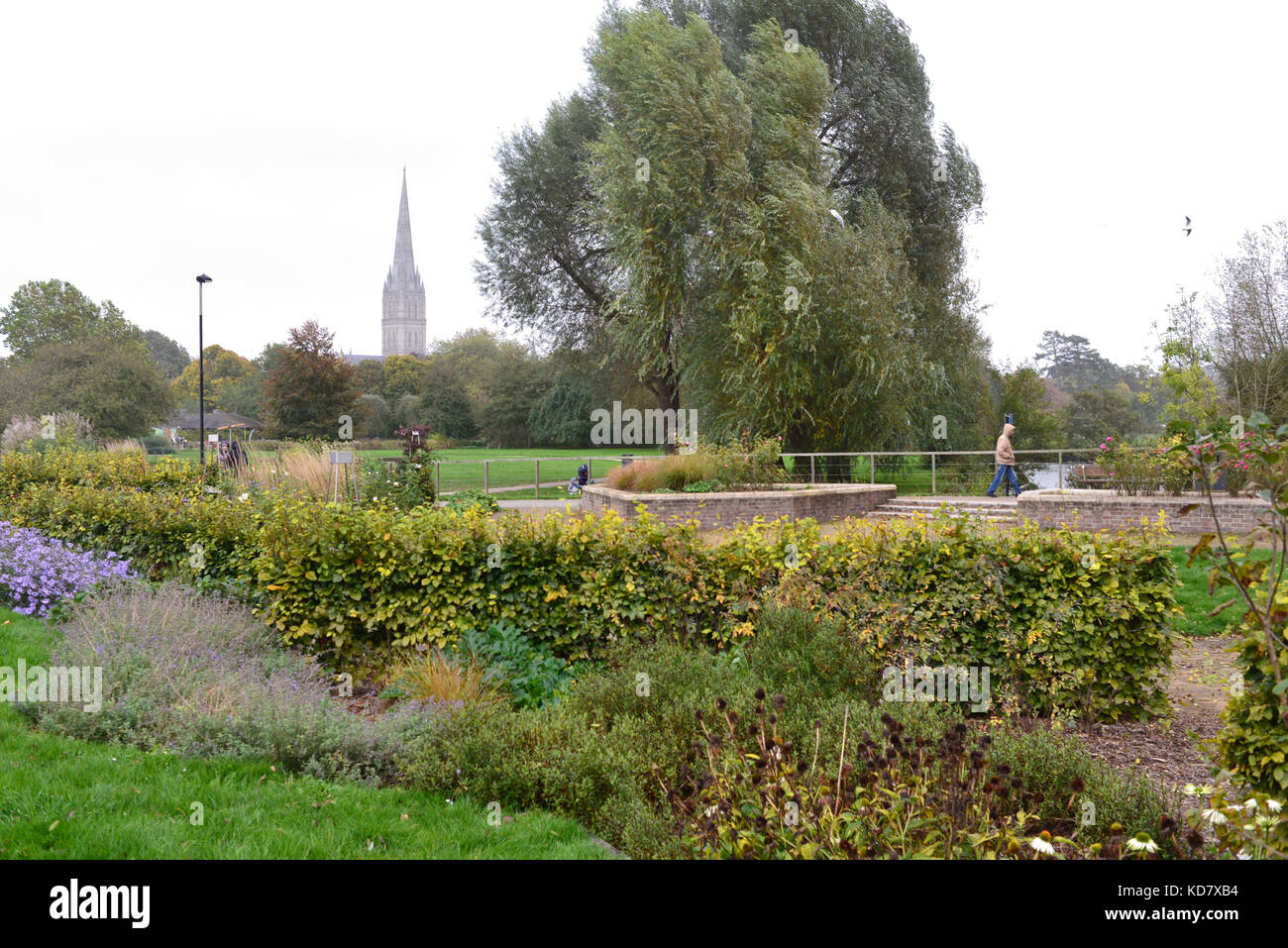 Queen elizabeth gardens salisbury hi-res stock photography and images ...