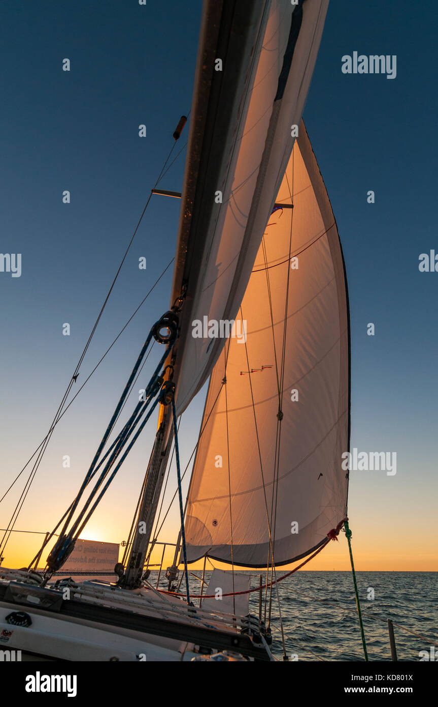 Sails into the sunset, Catalina 310 sailboat, Gulfport, Mississippi ...