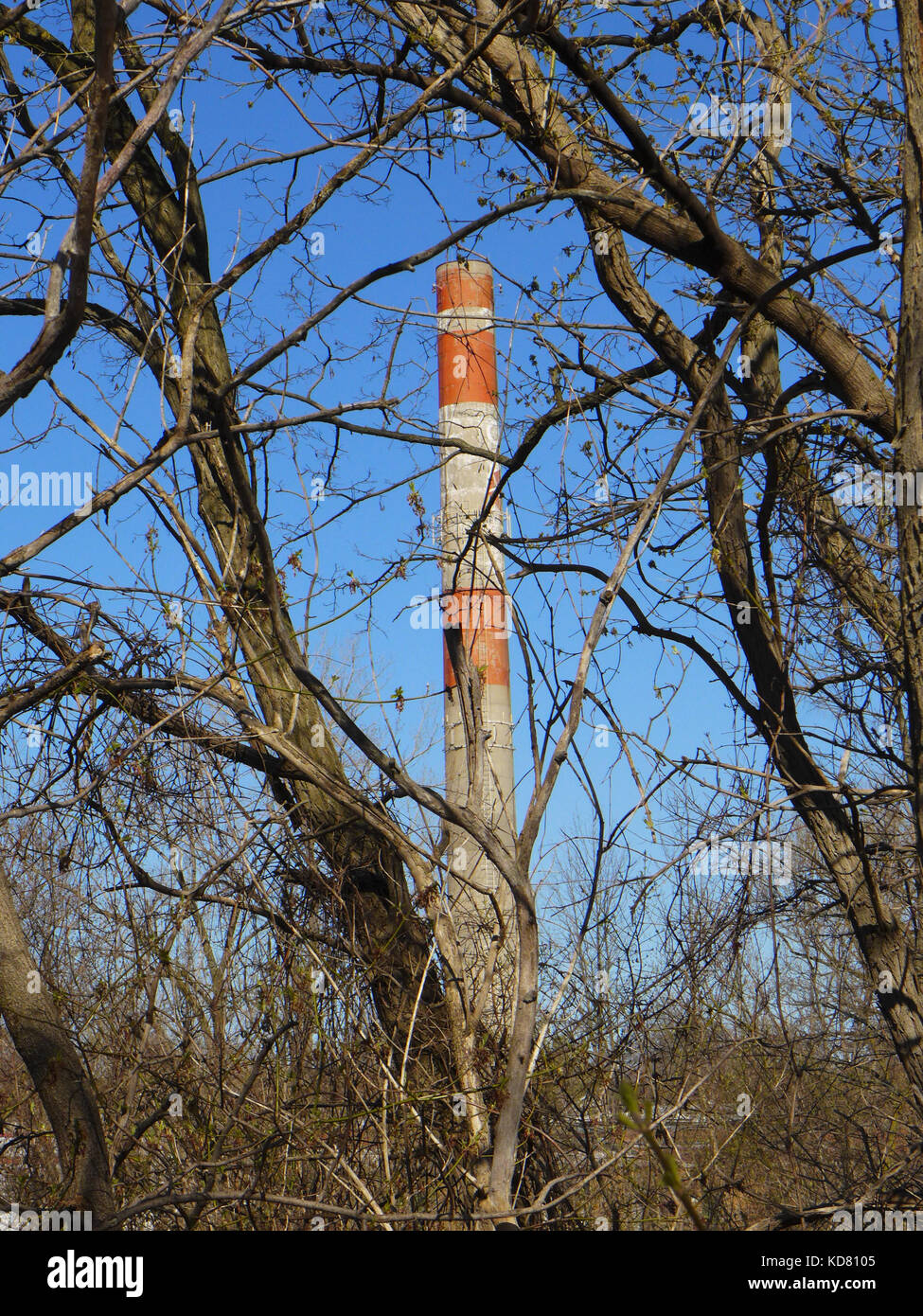 Tall chimney viewed through trees Stock Photo - Alamy