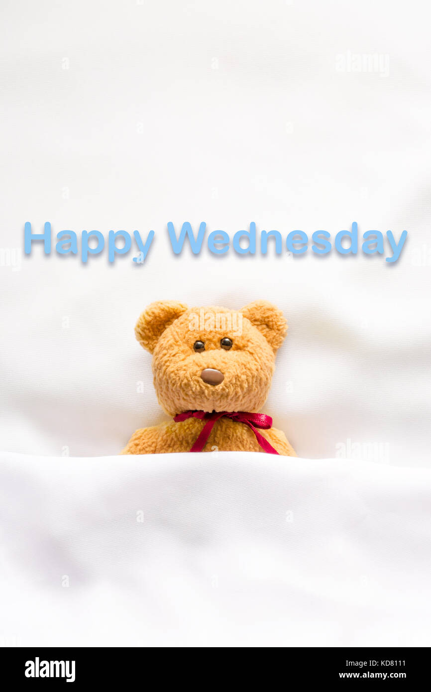 Teddy Bear lying in the white bed with message " Happy Wednesday Stock ...