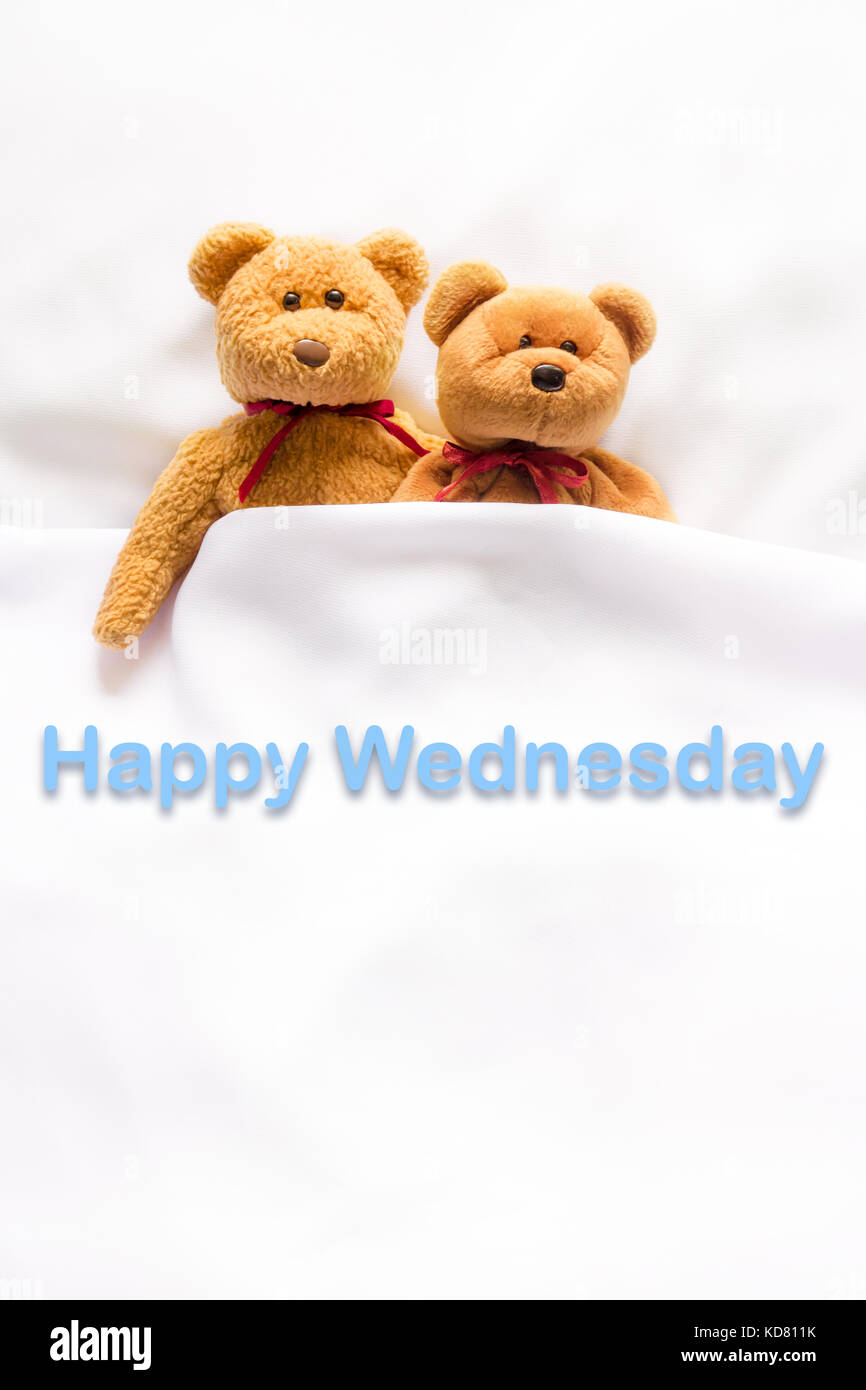 Teddy Bear lying in the white bed with message " Happy Wednesday Stock ...