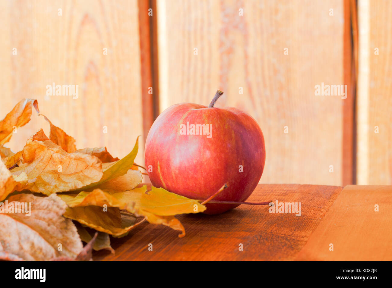 Beautiful wood apple leaf hi-res stock photography and images - Alamy