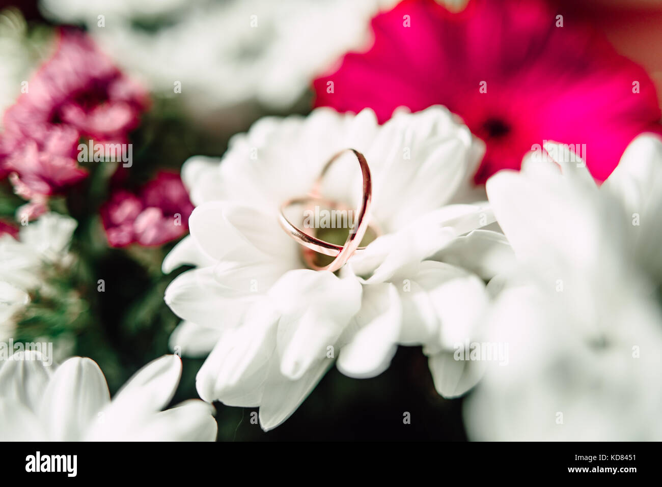 Wedding rings on a flower Stock Photo - Alamy