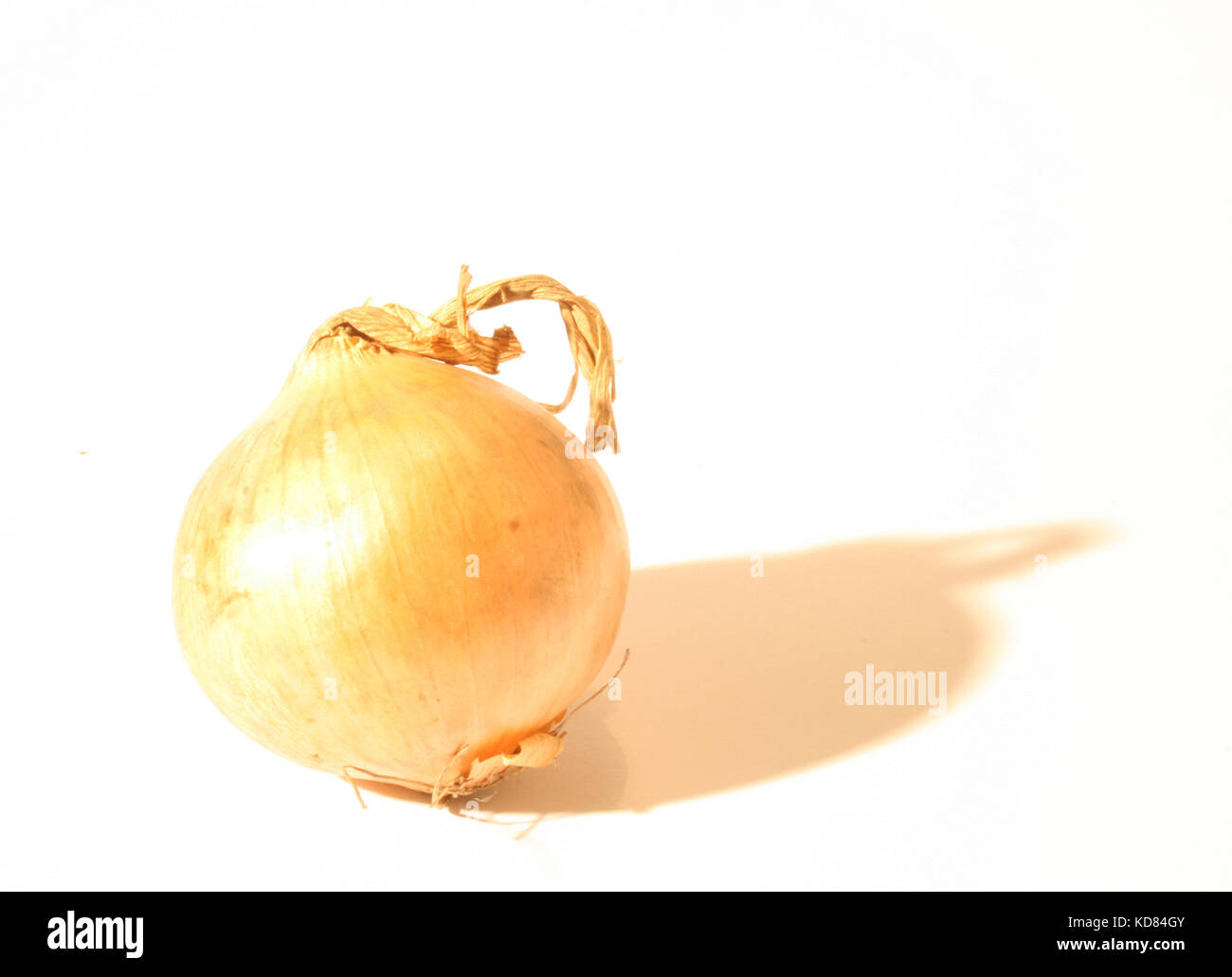 close up of onion Stock Photo - Alamy