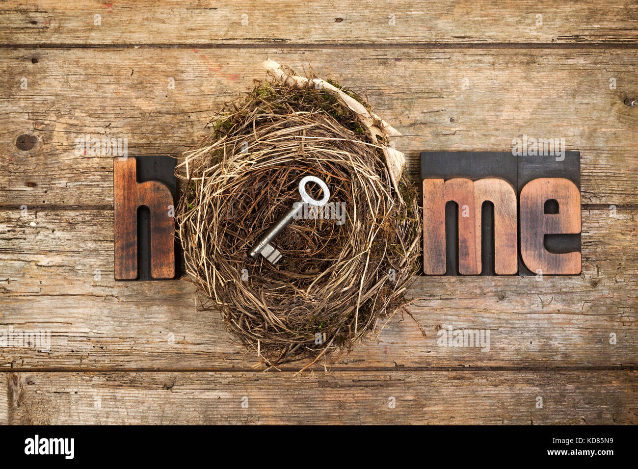 Home, word written with vintage letterpress printing blocks and bird’s ...