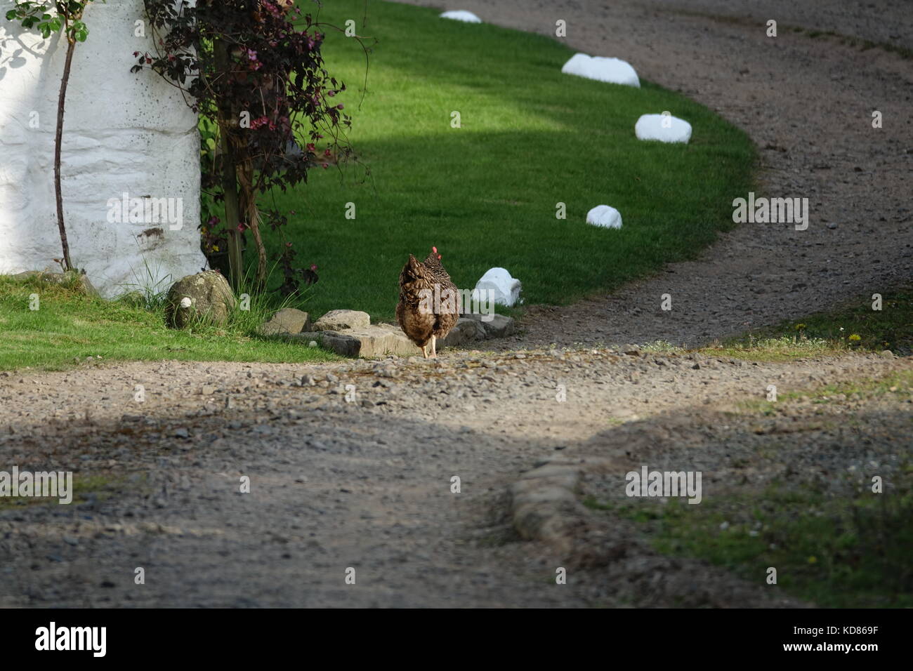 Old Bridge of Urr Stock Photo - Alamy