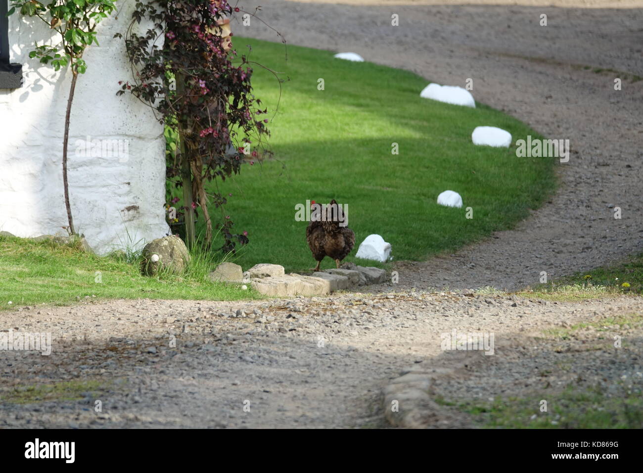 Old Bridge of Urr Stock Photo - Alamy