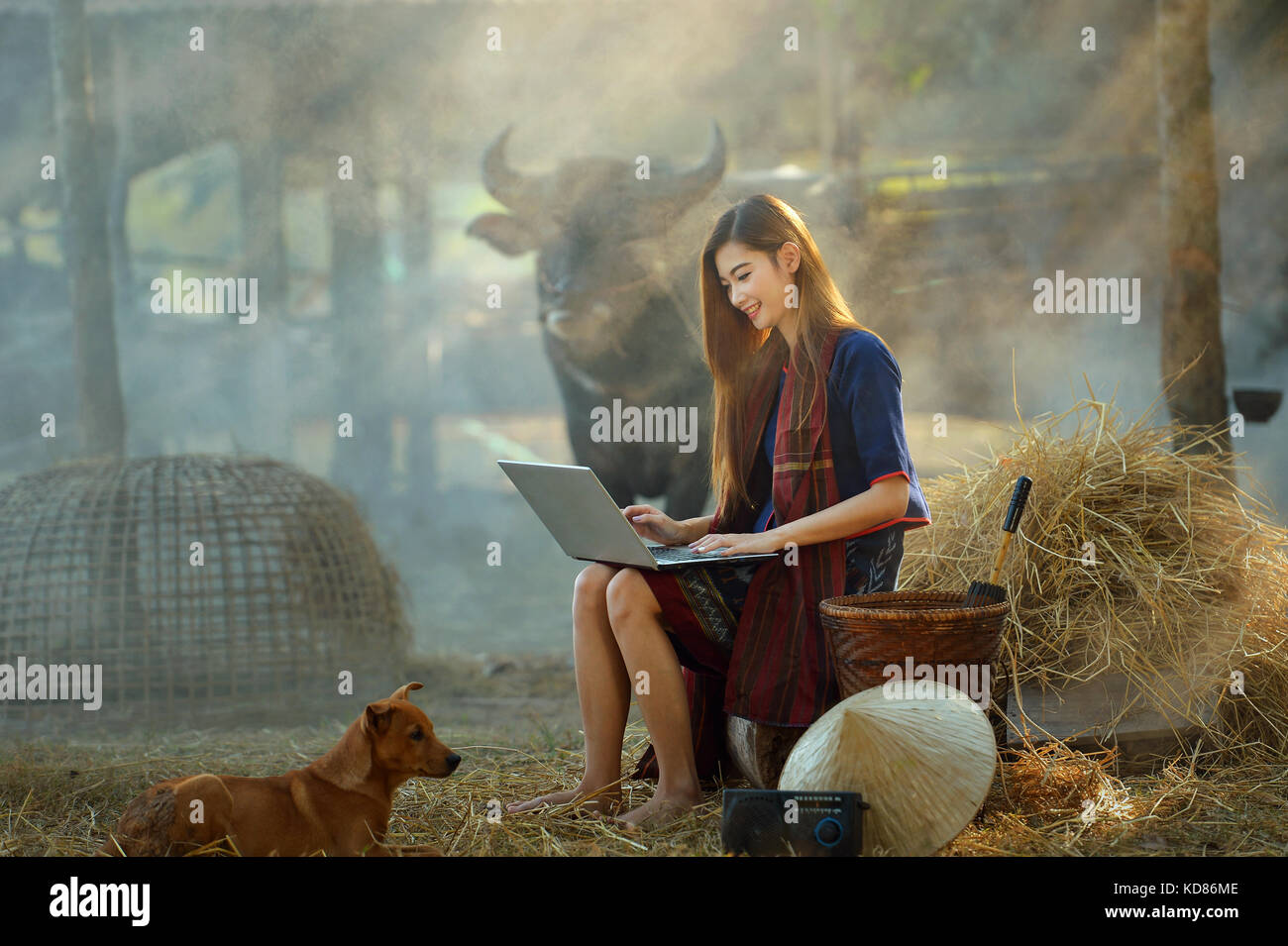 Woman sitting on a farm using a laptop computer, Thailand Stock Photo ...